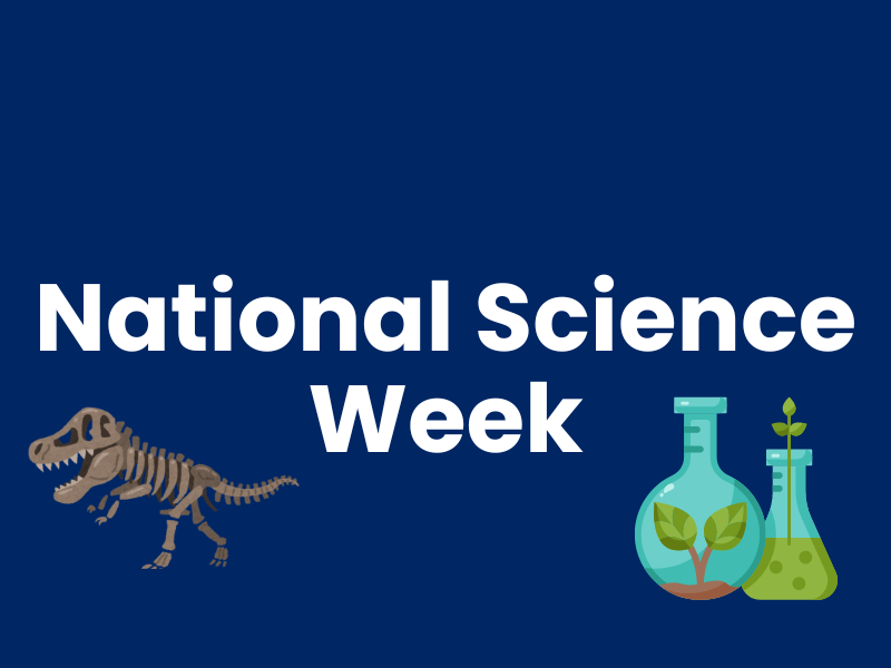 National Science Week in Senior School | Thomas Hassall Anglican College